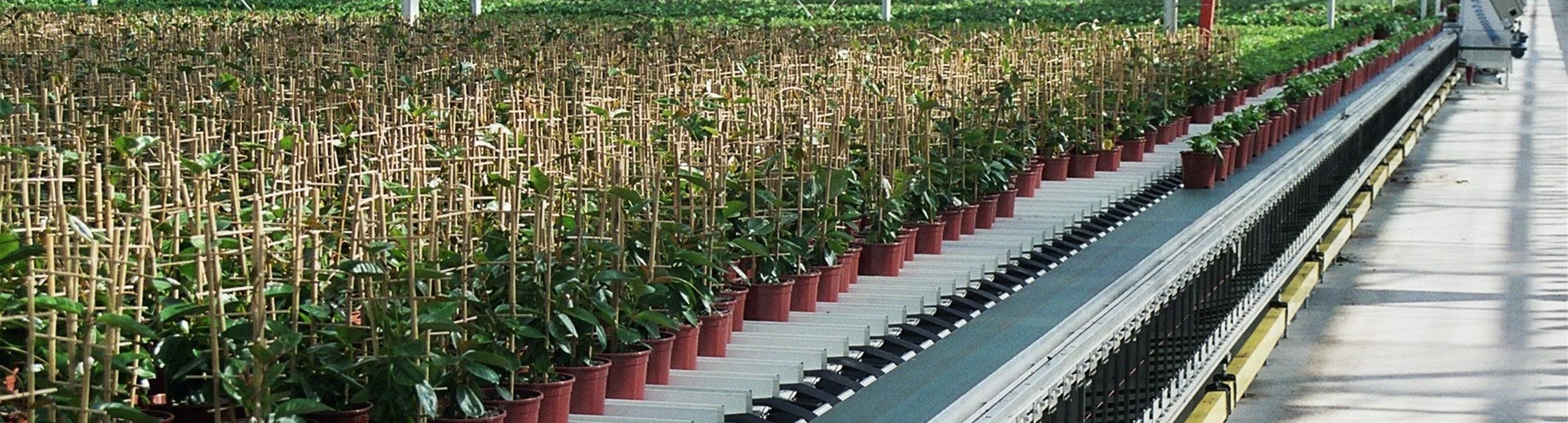 Walking Plant System - WPS | WE PROVE SOLUTIONS