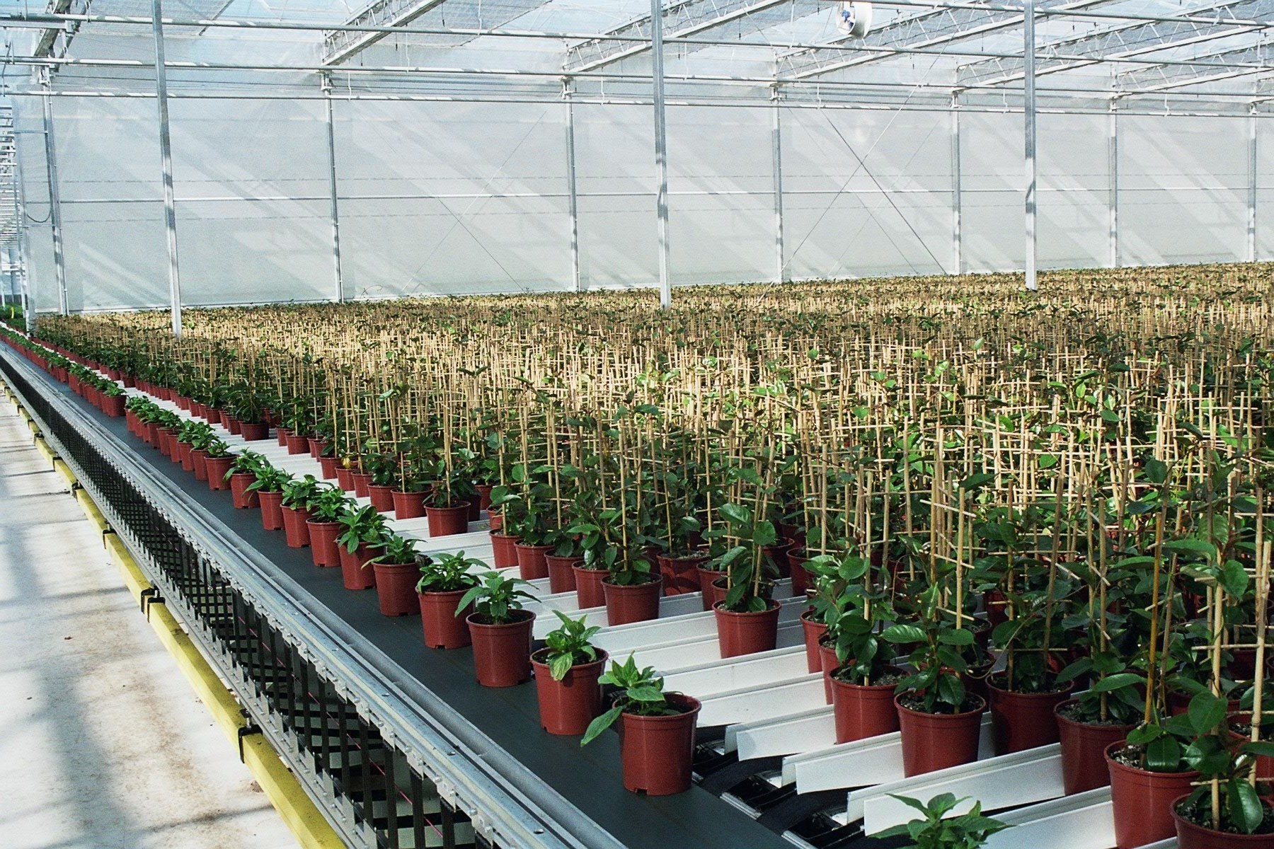 Walking Plant System - WPS | WE PROVE SOLUTIONS